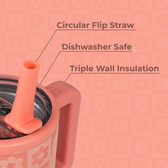 HydroJug Traveler 20oz – Daisy Checkers Kids Insulated Tumbler